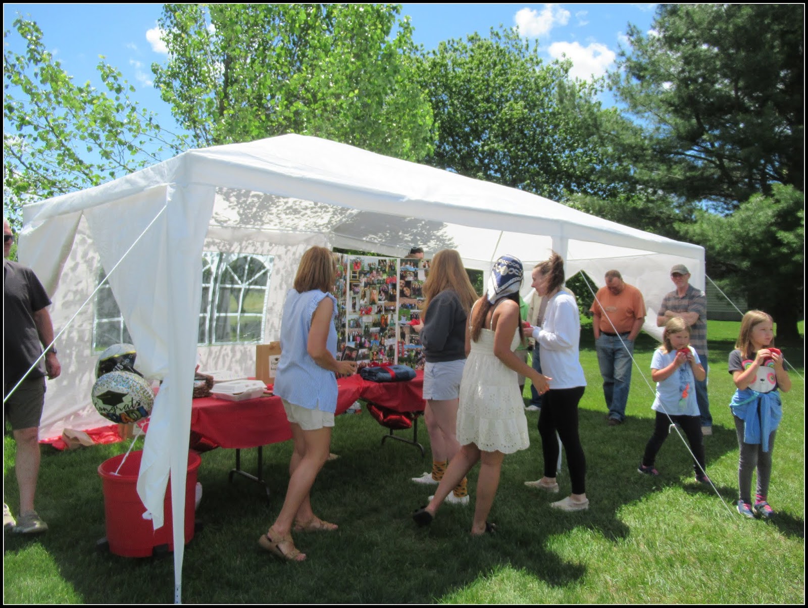 My Little Corner of the World: A Drive Through Graduation Party