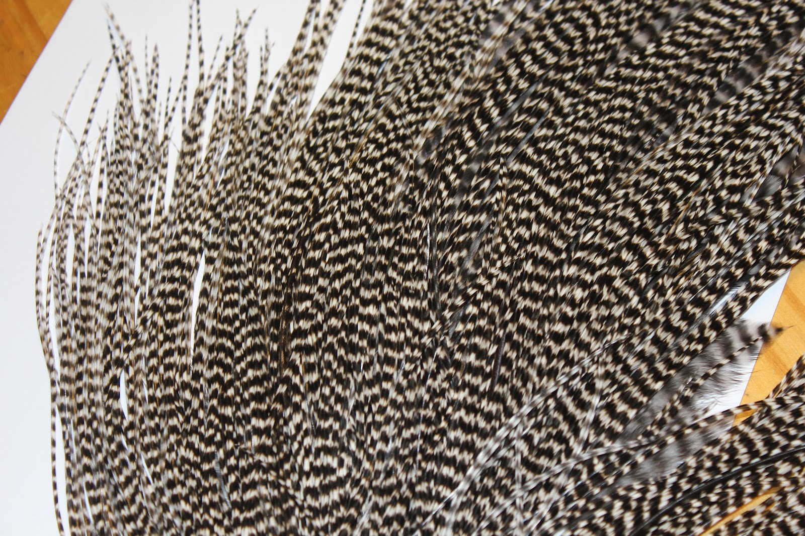 Fly Tying Videos: How to Tie Flies for Freshwater and Saltwater: How to ...