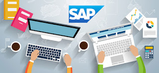 INFORMACIÓN DEL SAP (Sistemas, Aplicaciones y Procesos)