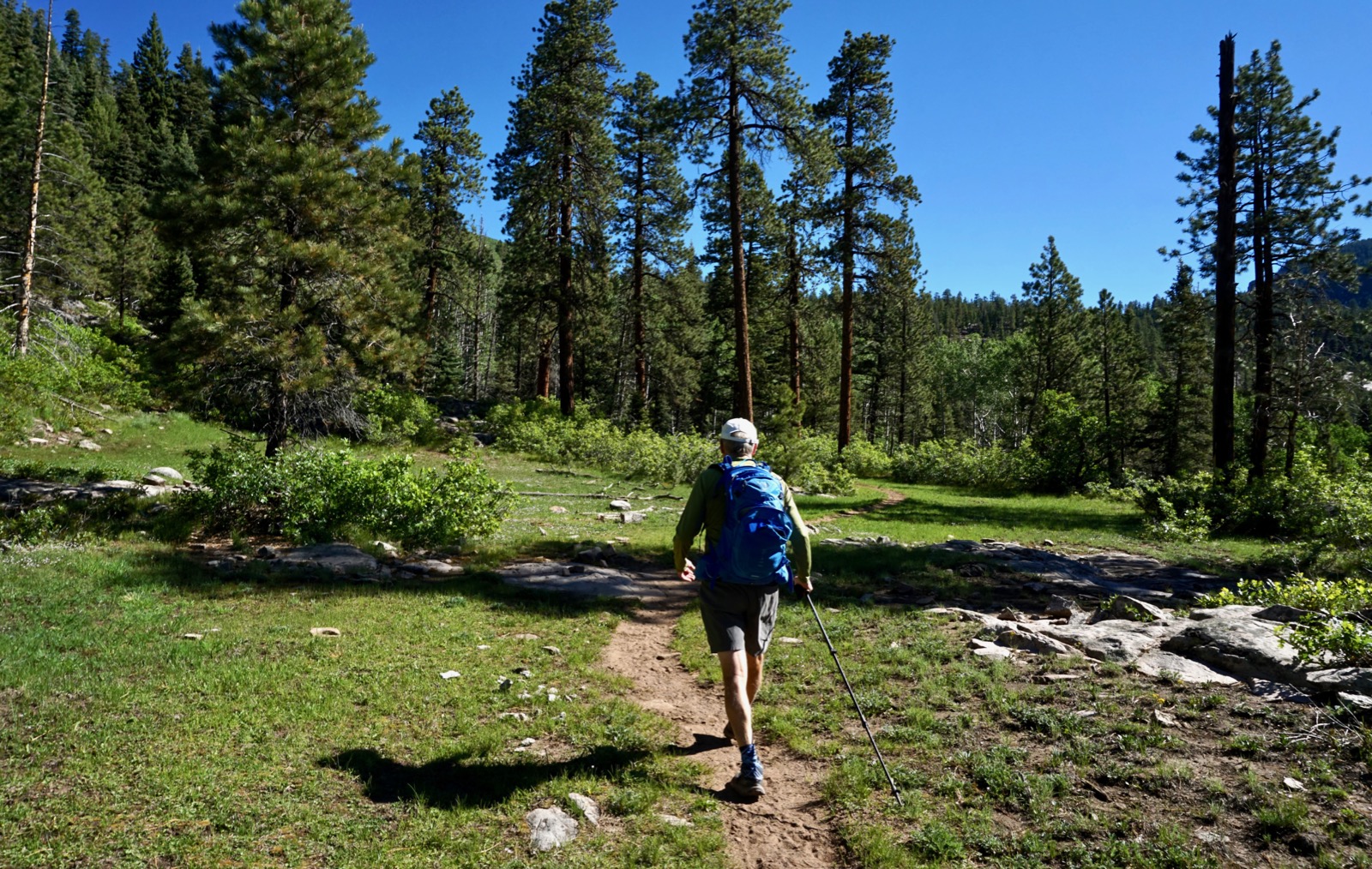 Earthline: The American West: Burnt Timber Trail, Point 11,003' and ...