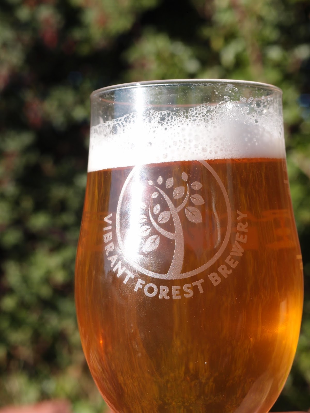 The VegHog: Vibrant Forest Beer Festival 2015