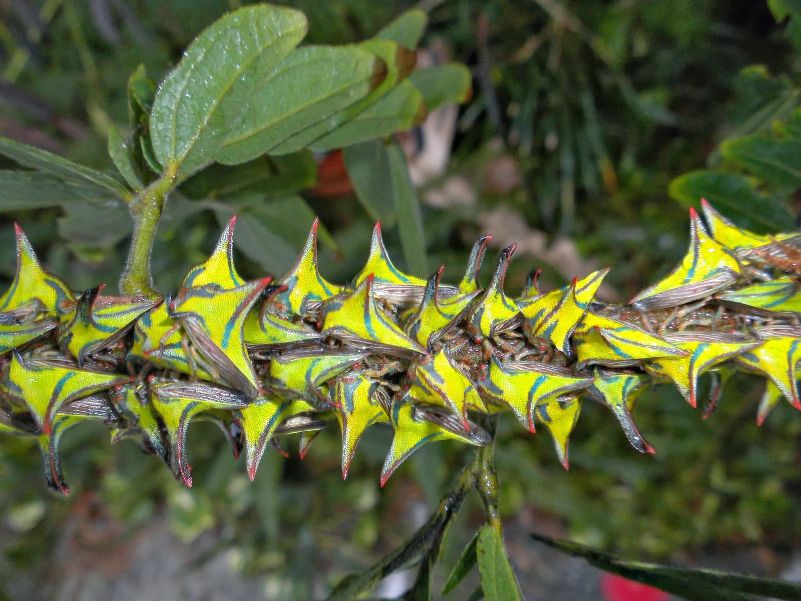 Lojong for the Layperson: Don't act with a twist.