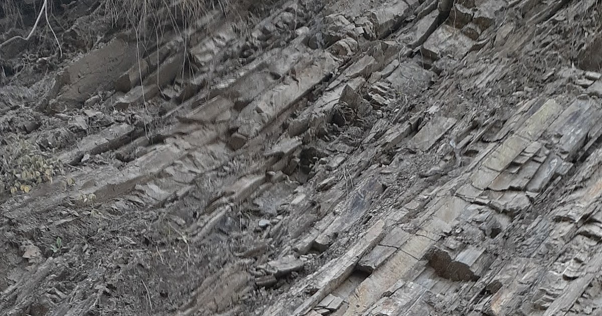 General classification of folds