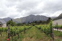 Nicole SteppingOut: Nicole Stepping Out visits Colmant Cap Classique ...