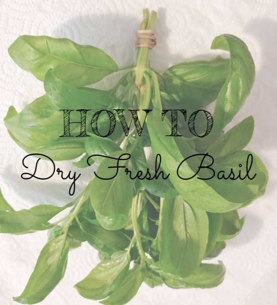 How to Dry Fresh Basil - Little Vintage Cottage
