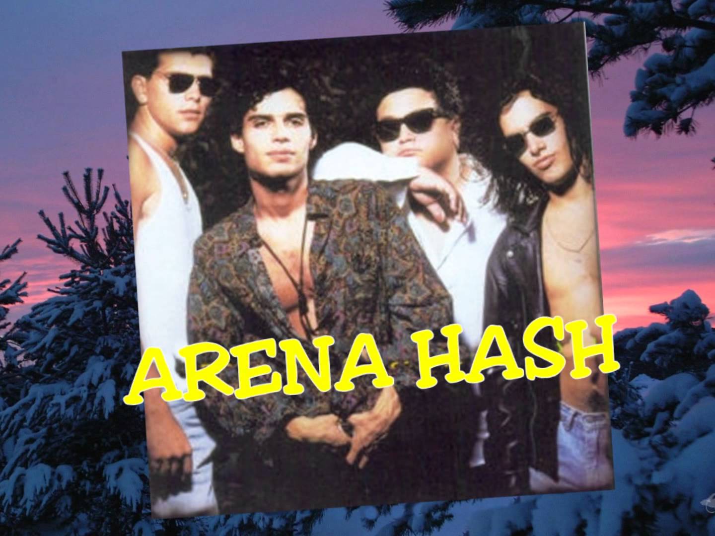 Arena Hash Logo