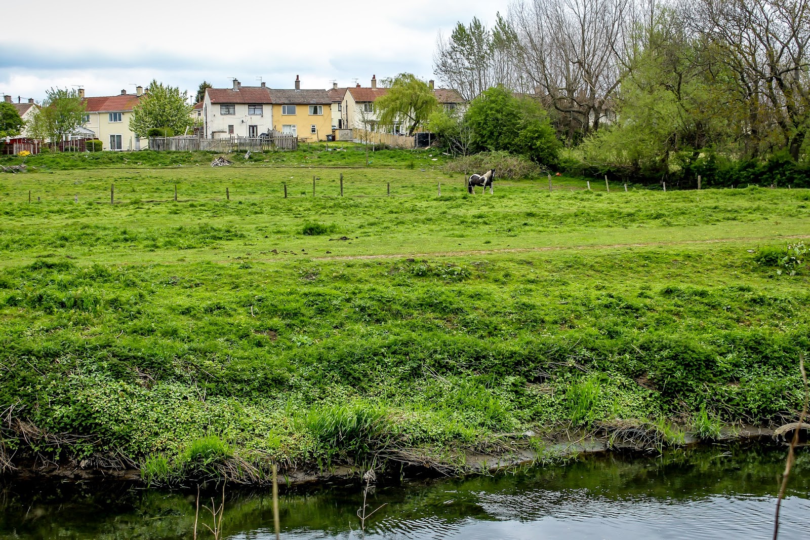 pointless walks to dismal places: Manvers Main Colliery to Cortonwood ...