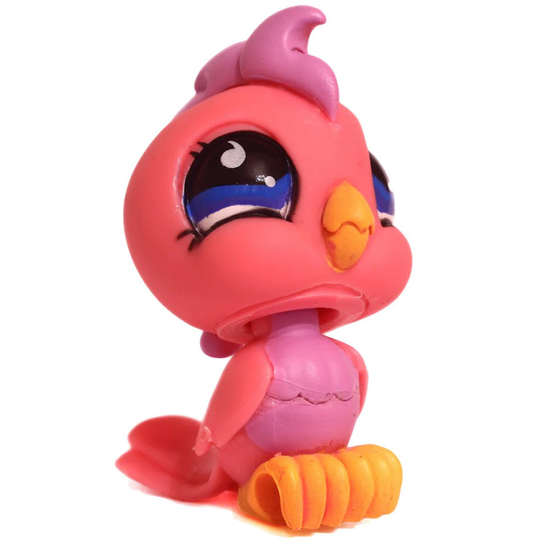 Littlest Pet Shop Gift Set Cockatoo (#923) Pet | LPS Merch