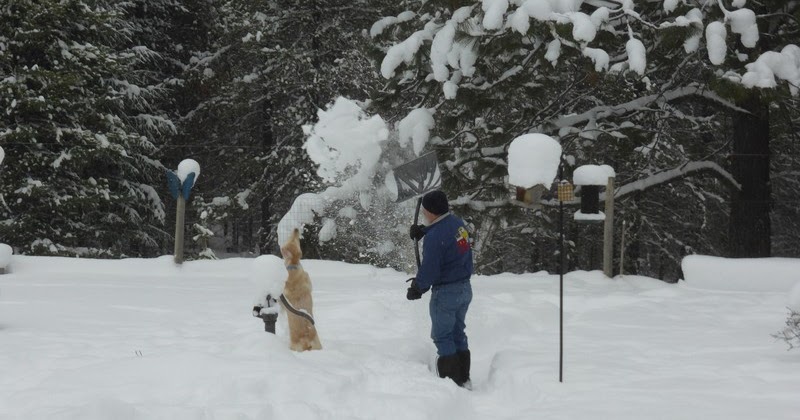 mooseduds looks around: SNOW! Let it SNOW! SNOW! I want snow!