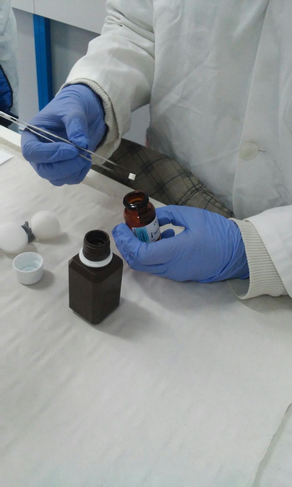 Prácticas Bioquímica: Determinación de urea