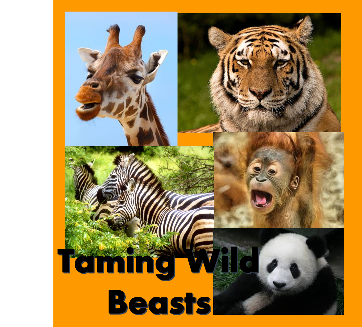 Classy Gal Designs and Publishing