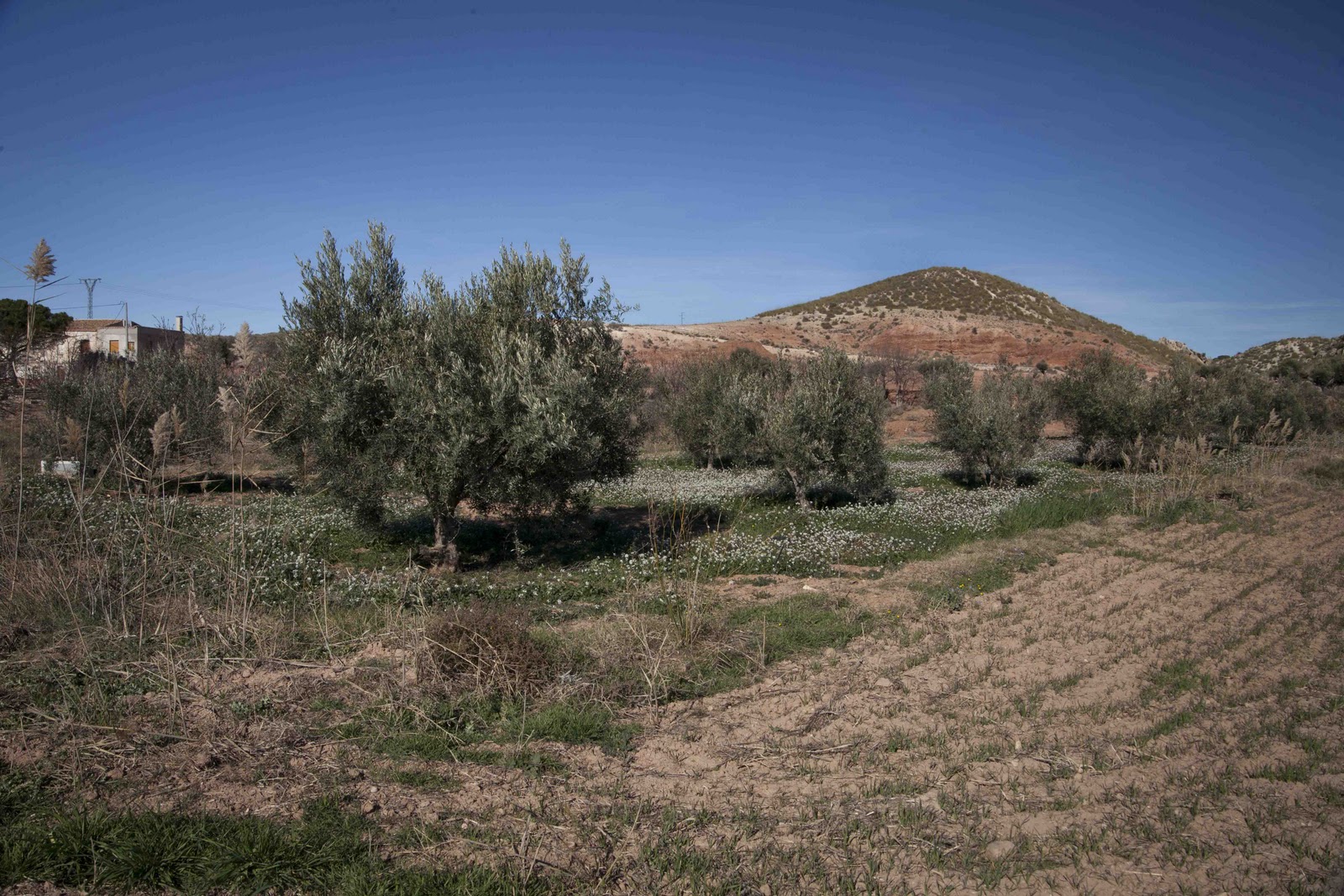 Look Up Often: Tobarra, Spain
