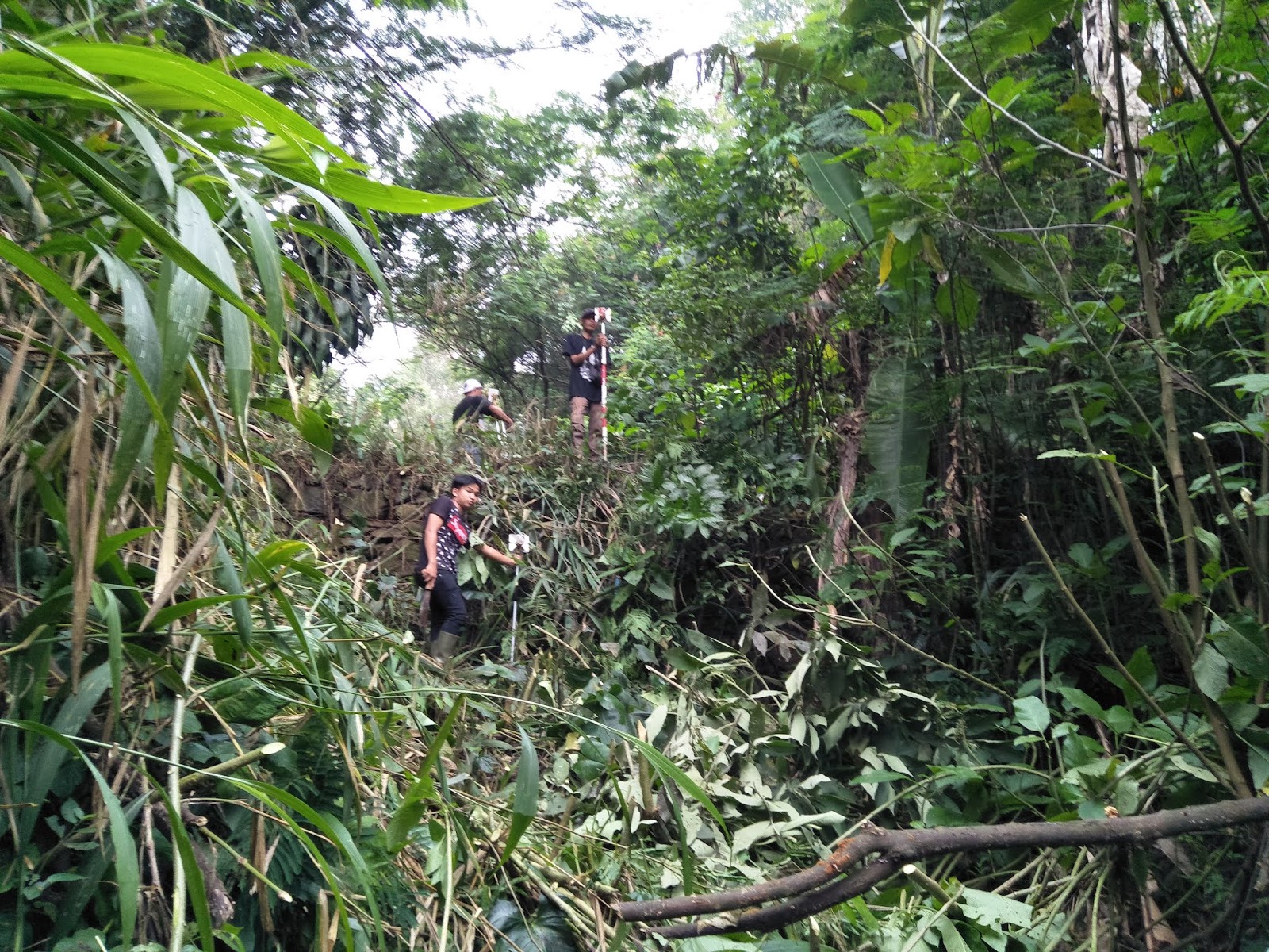 JASA PENGUKURAN TOPOGRAFI : DAFTAR HARGA PENGUKURAN TOPOGRAFI DAN STAKE ...