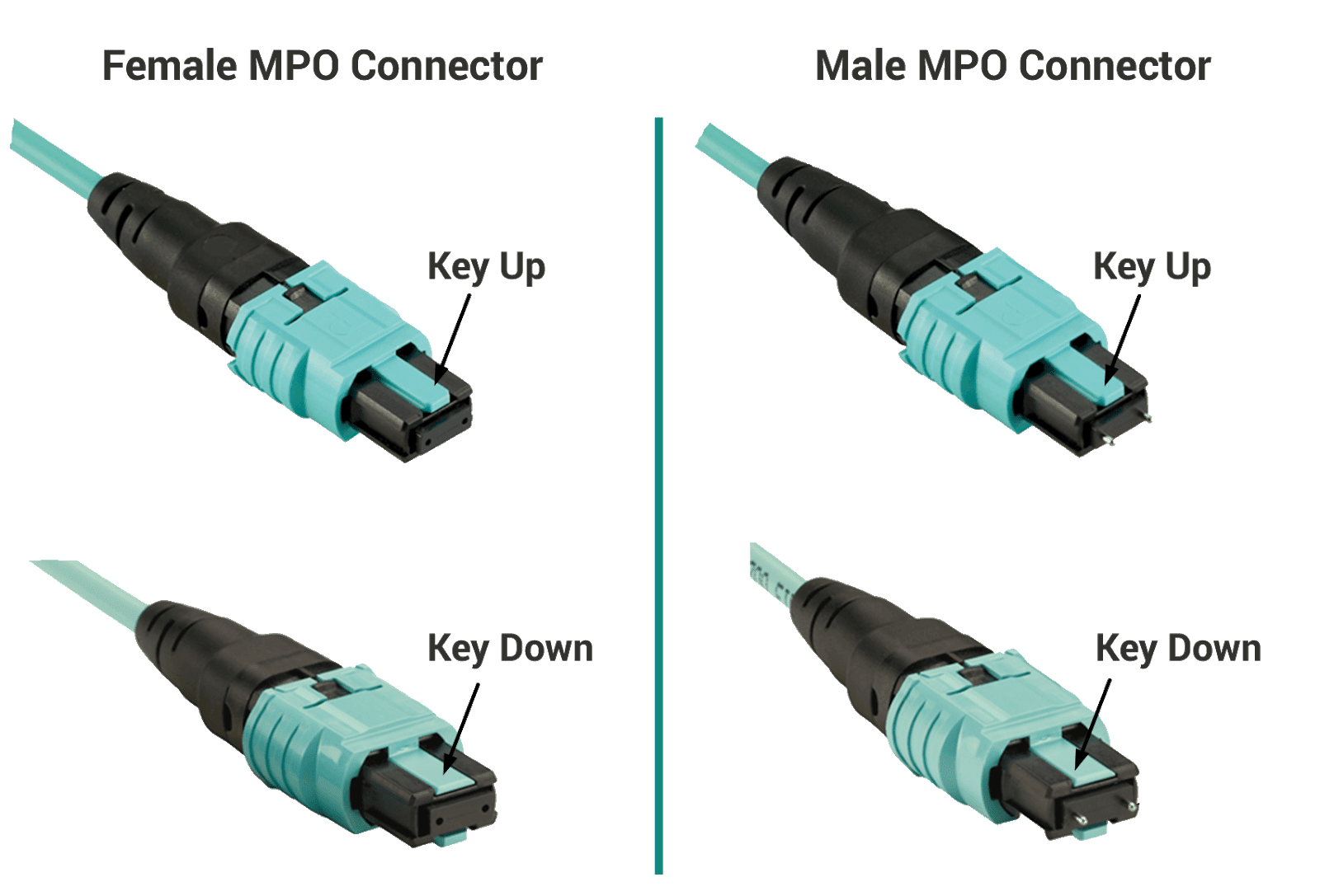 Server Labs: What is MPO(Multi-fiber Push-On) or MTP(Multi-fiber ...