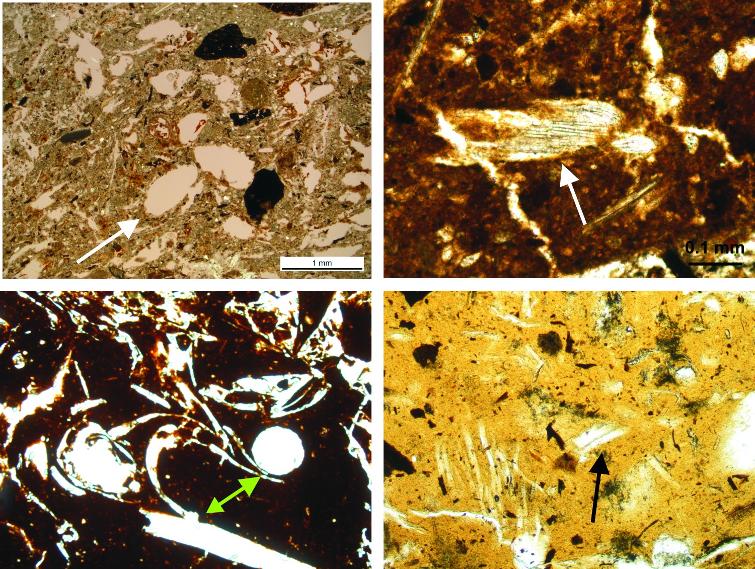 Micrograph of the Month: Pseudomorphic Voids