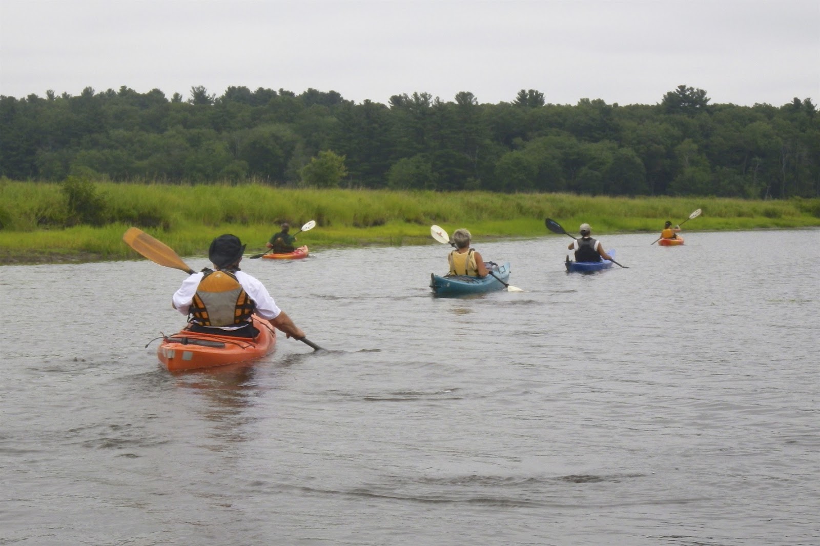 Open Boat, Moving Water - A Paddler's Journal: Sudbury River - Wayland ...