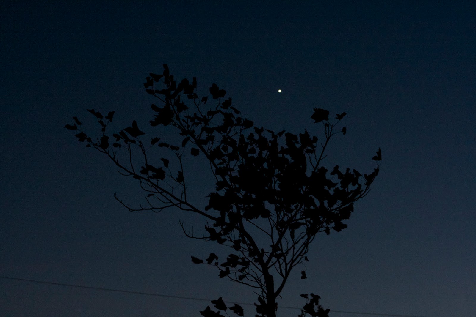 Stellar Neophyte Astronomy Blog: November 2013