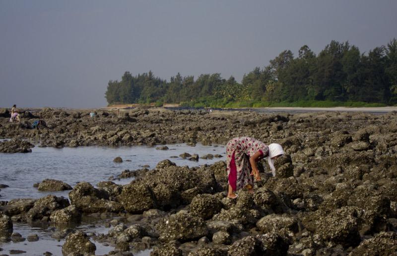 India: Kihim Beach - Paradise on the Konkan Coast