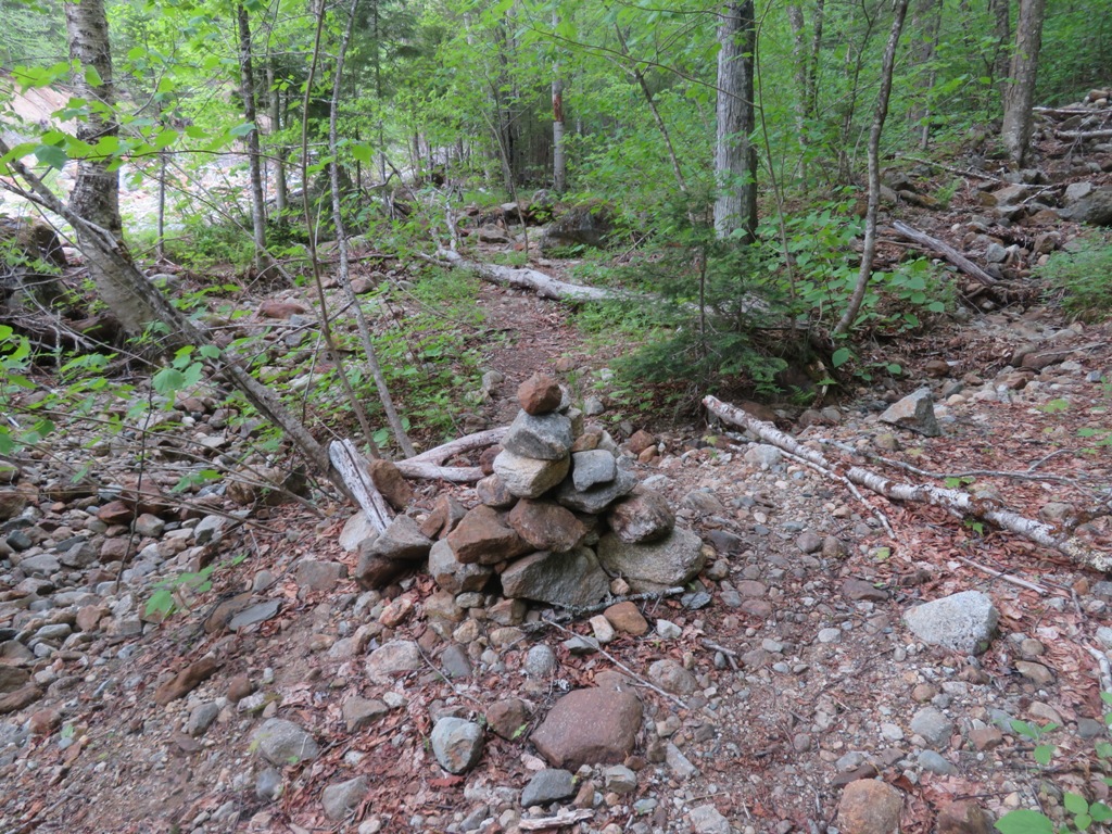 Mountain Wandering: Dry River Trail: 5/27/21