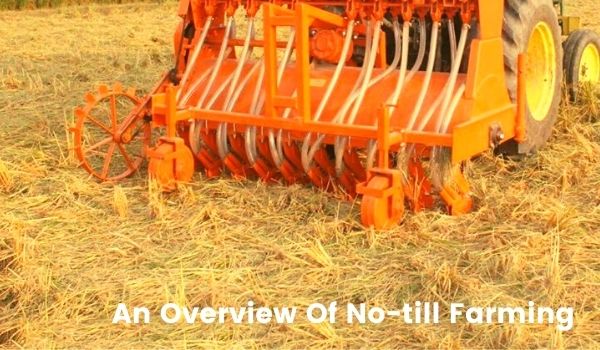 An Overview Of No-till Farming
