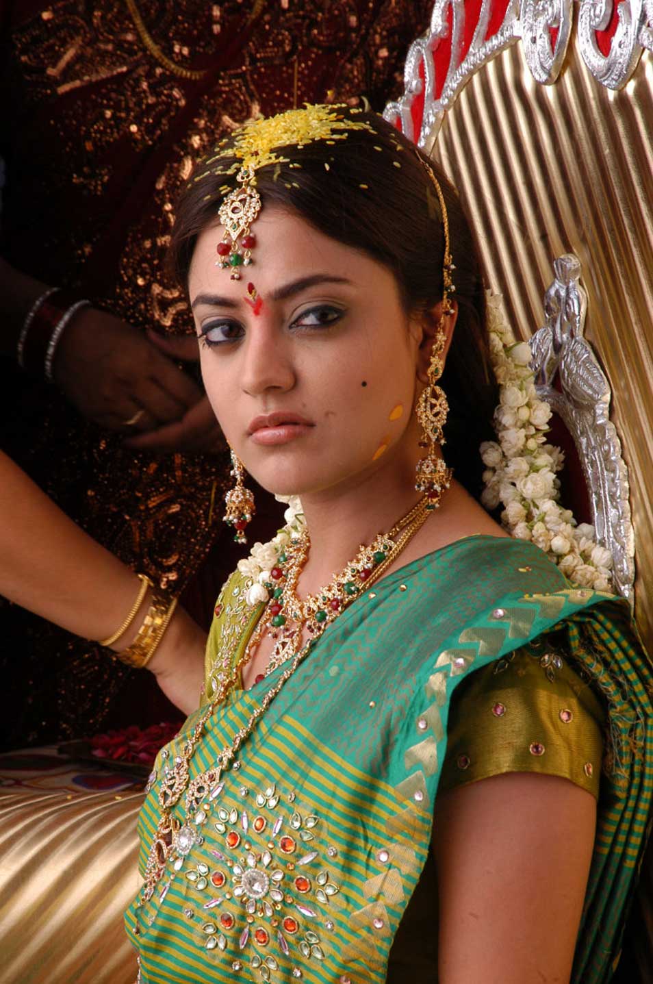 Nisha Agarwal Saree Stills