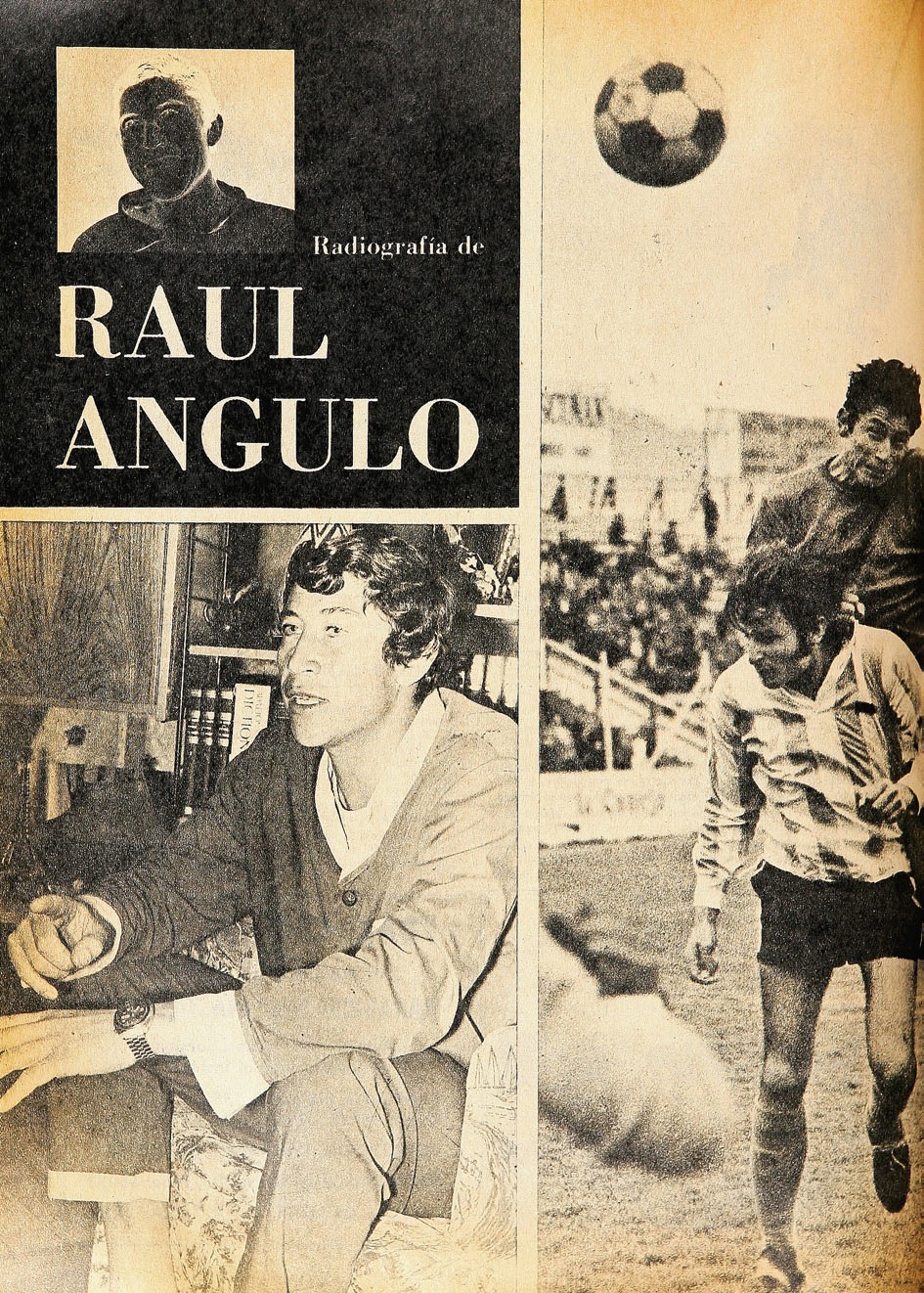 Partidos de la Roja: Raúl Angulo