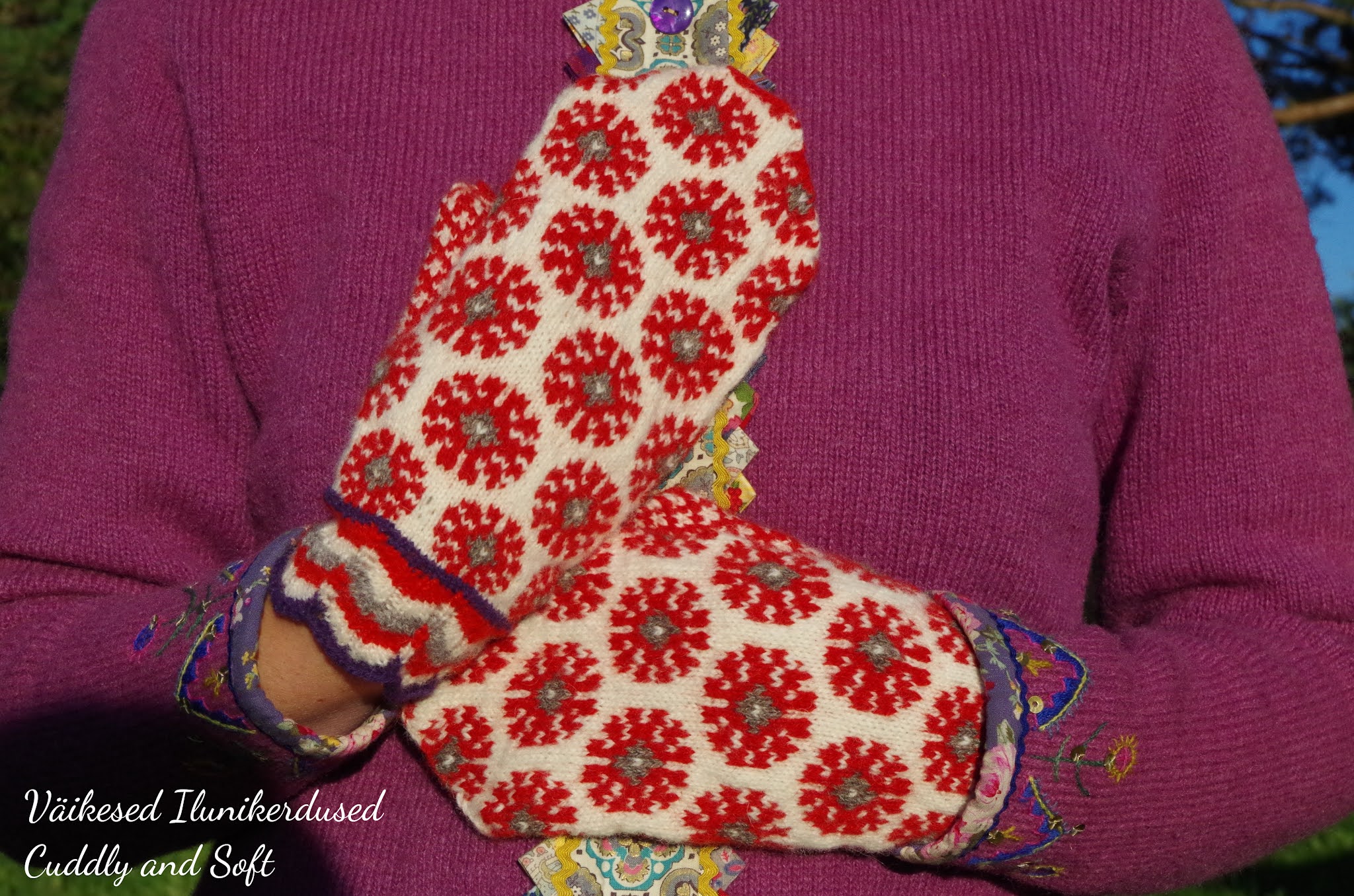 Väikesed Ilunikerdused: Petserimaa labakindad