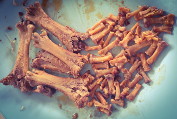 (Eat to Live) or (Live to Eat): Phoenix Talons