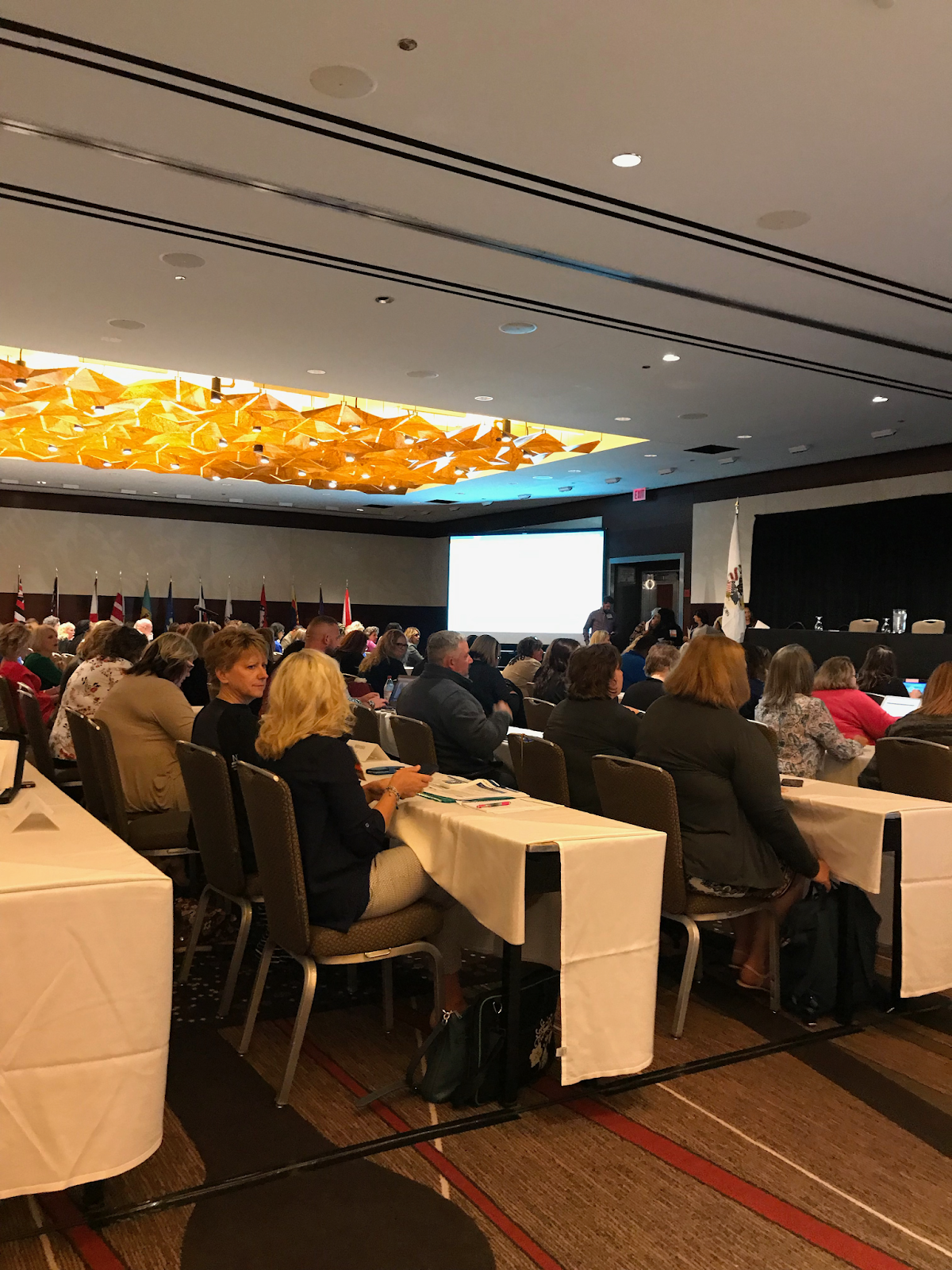 OHIMA Blog: The Elephant in the Tense Room: Trust