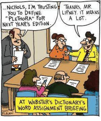 Bonnie's Books: Wednesday Word ~ plethora