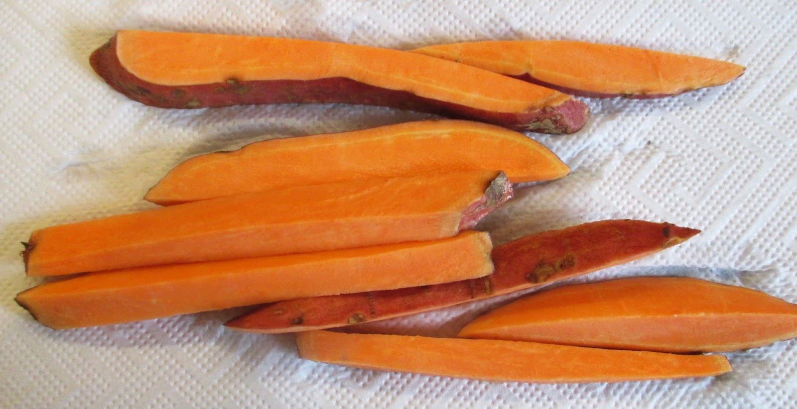 Otaku Family: Imo Kenpi