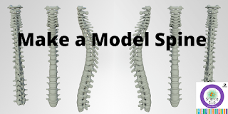 Surrey Library Lab: Make a Model Spine