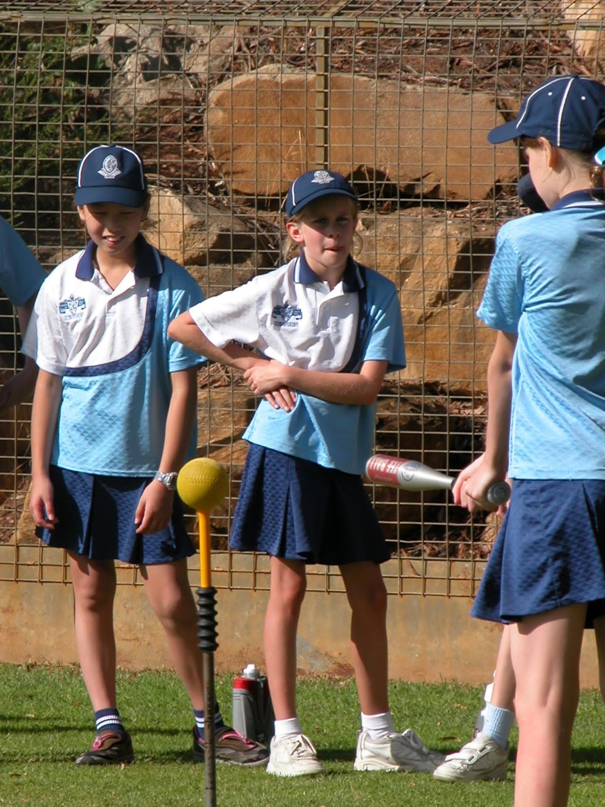 What Is Physical Education A Siedentopian Answer What Is Physical Education A Siedentopian Answer