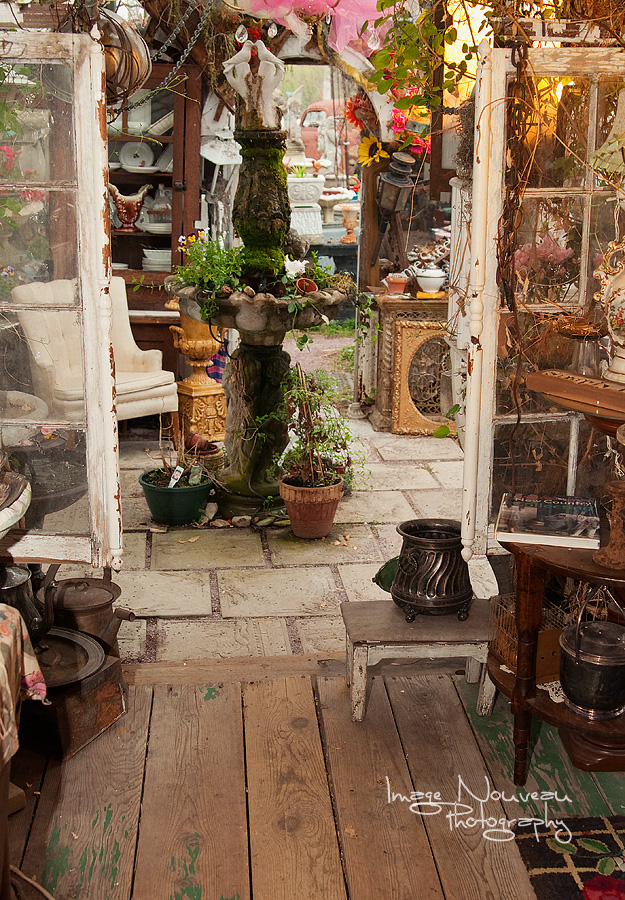 simply iowa: The Inside..of the Rabbit Hole...Looking....Out...