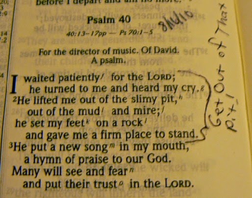 A Joy Filled Woman : Psalm of the Week - Psalm 40:1-3 - Week of 16 June ...