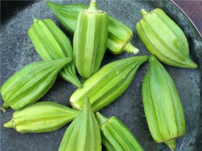 Varieties or Types of Okra - G&D Mega Farm