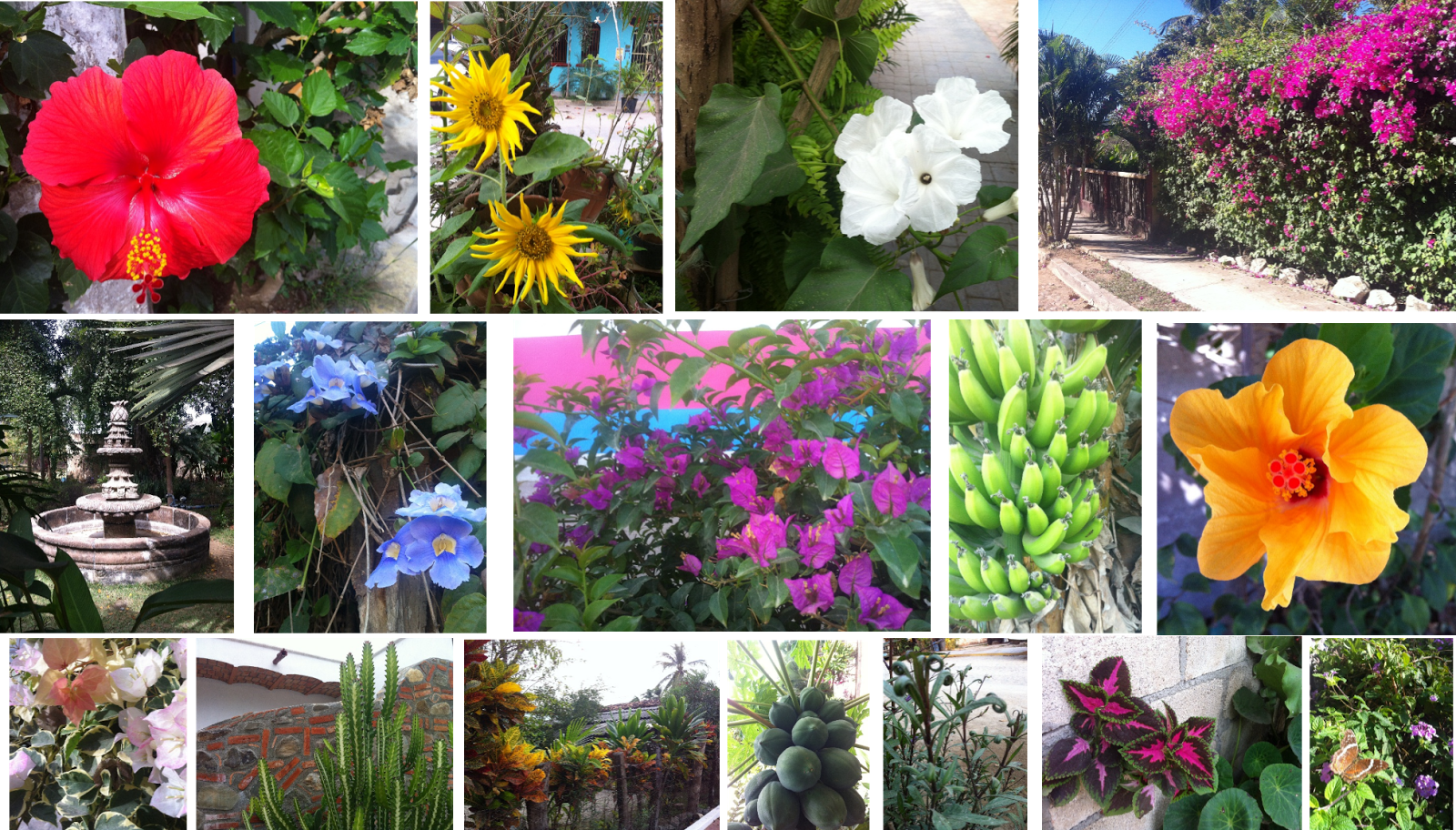 El Cambio: First Impressions, on a Second Glance