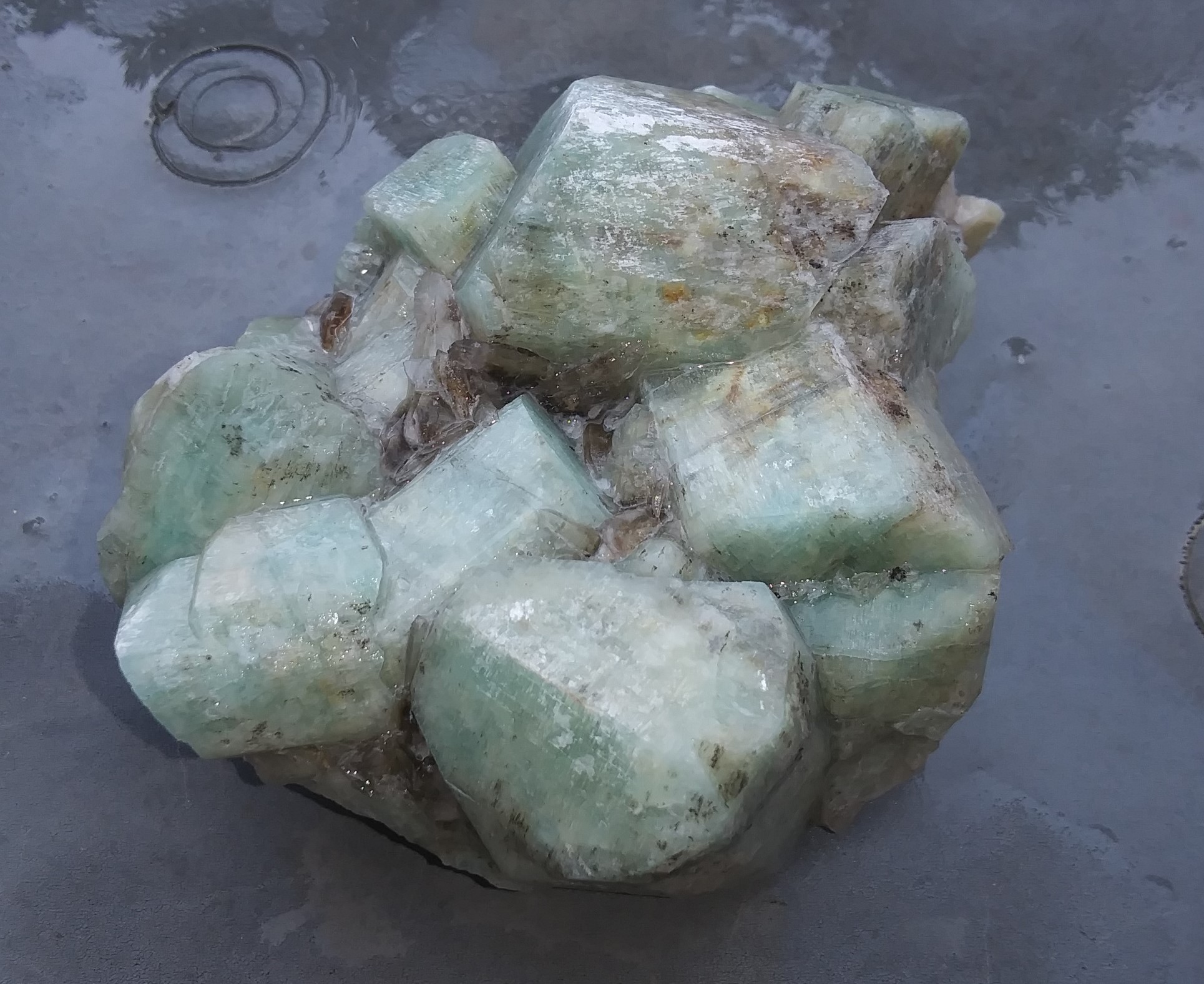 Rockhounding the Rockies: 2020