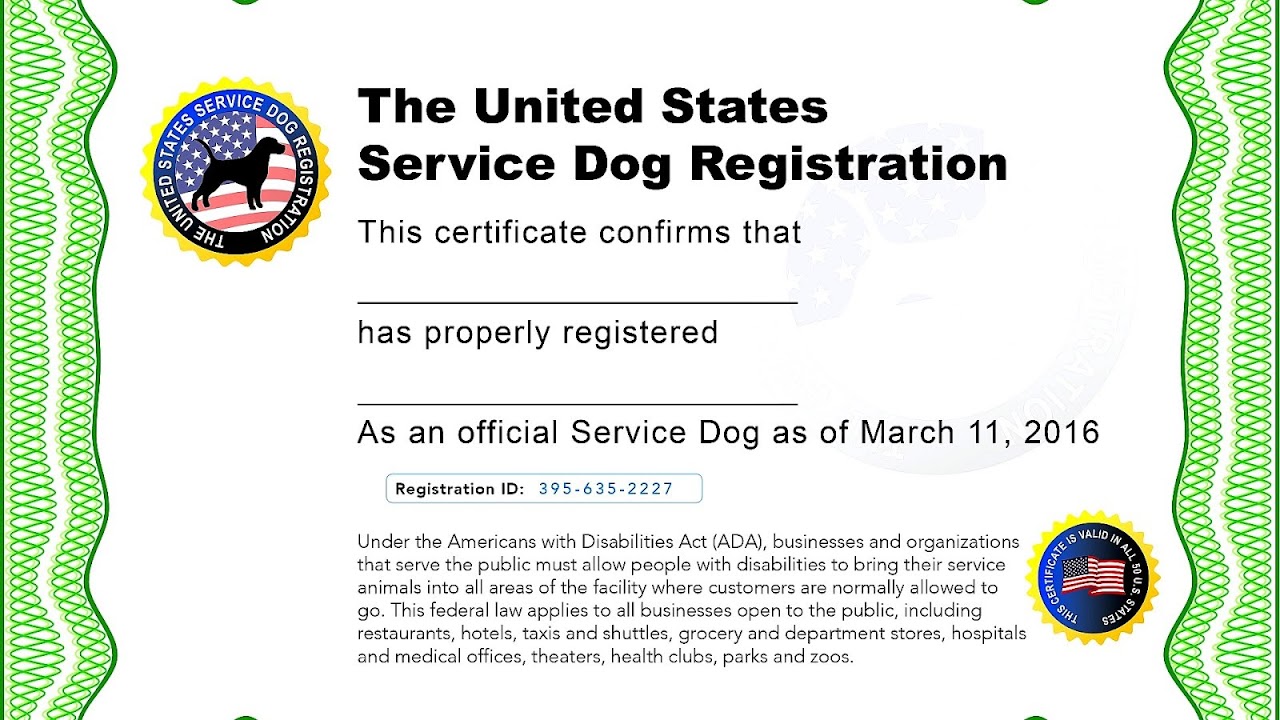 How Do I Get A Service Dog Certificate Dog Choices How Do I Get A Service Dog Certificate Dog Choices