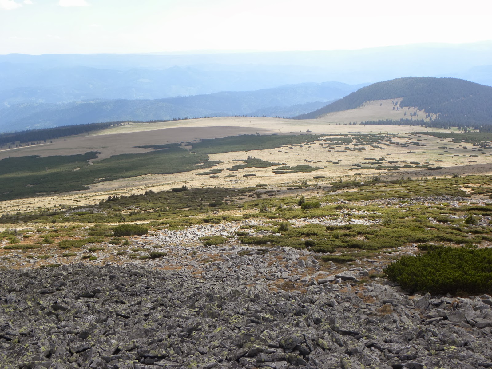 Munte, fotografie si nu numai: Muntii Calimani - vf Retitis (2021 m)
