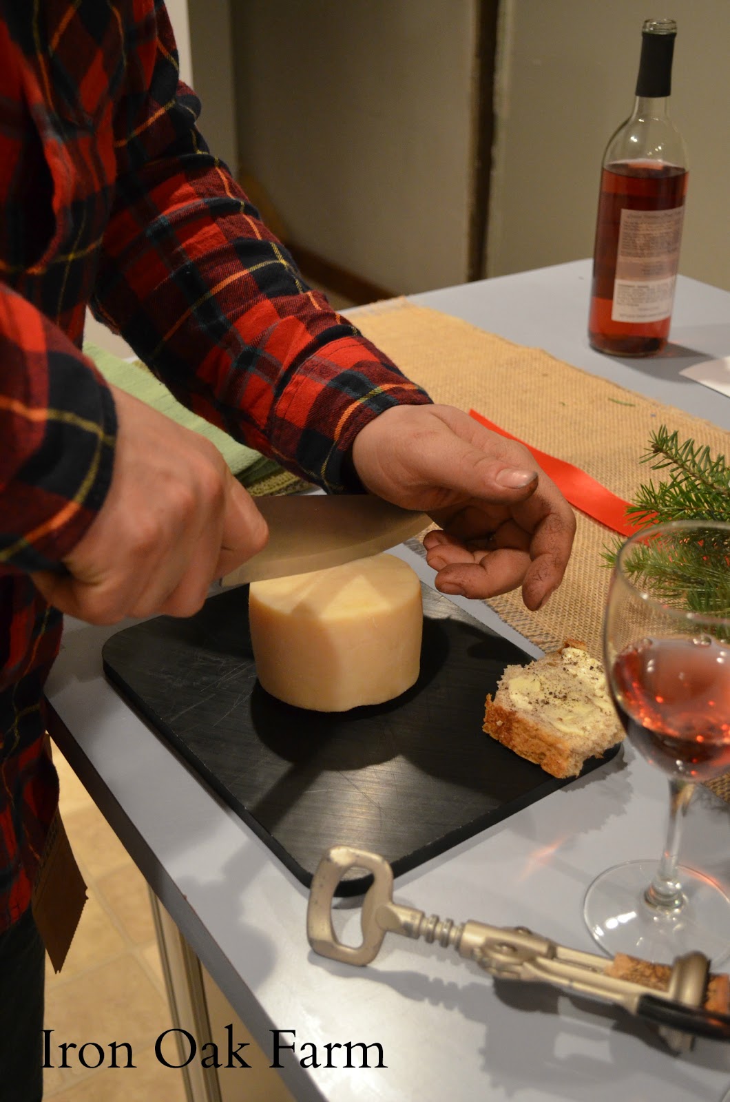 Iron Oak Farm: Holy Cheese! Our First Swiss Tasting