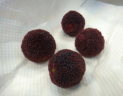 Supersupergirl's Food Reviews: Yangmei Berry