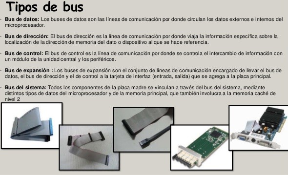 BUSES