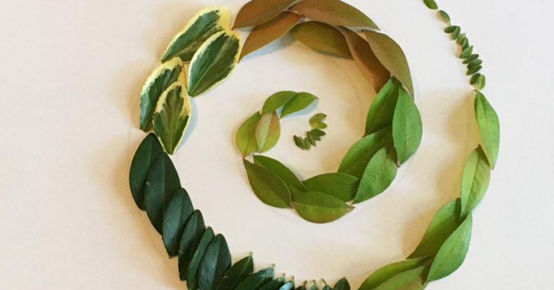 Andy Goldsworthy for Kids Art Project - Messy Little Monster