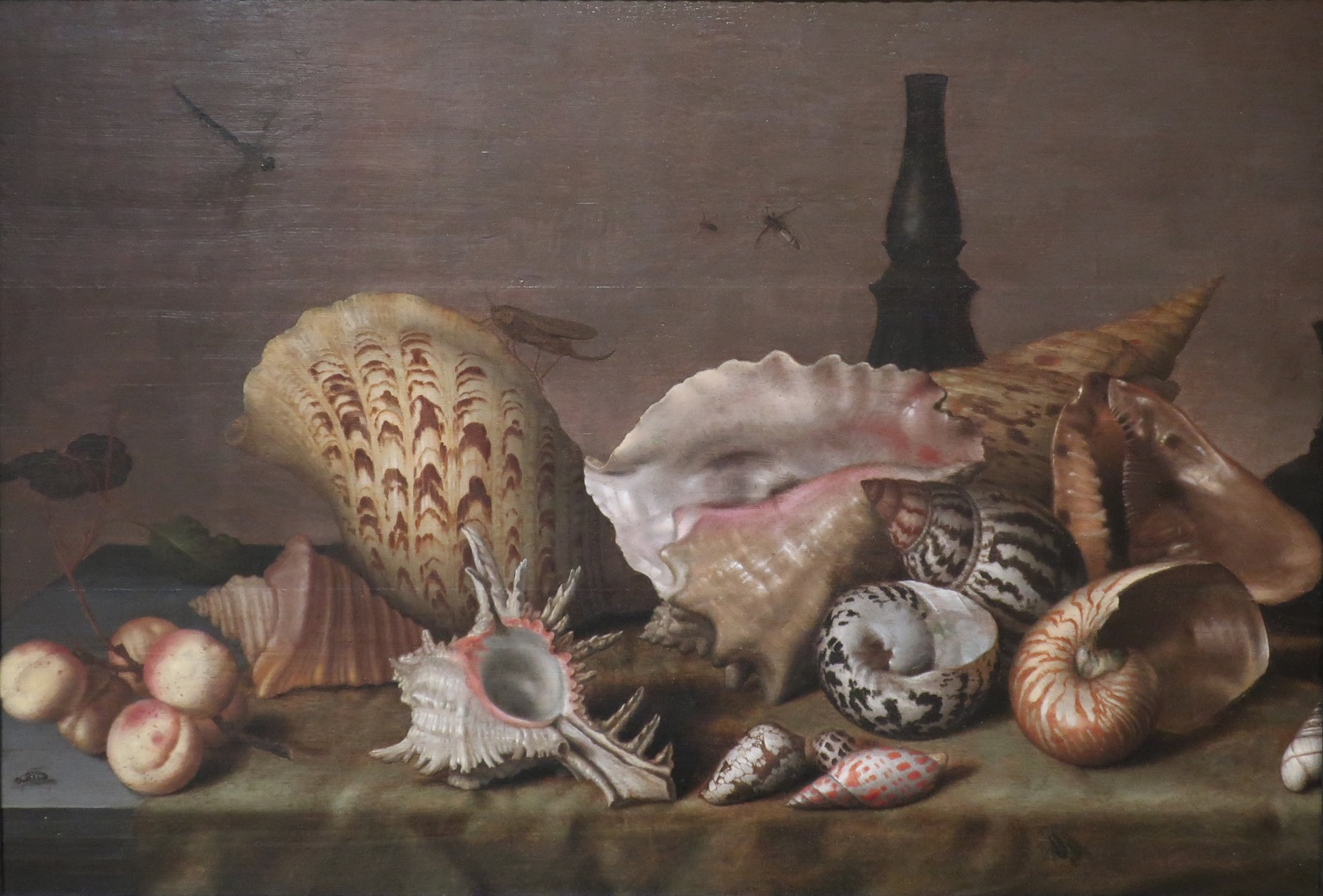 Spencer Alley: Balthasar van der Ast (Flowers, Shells, Lizards)