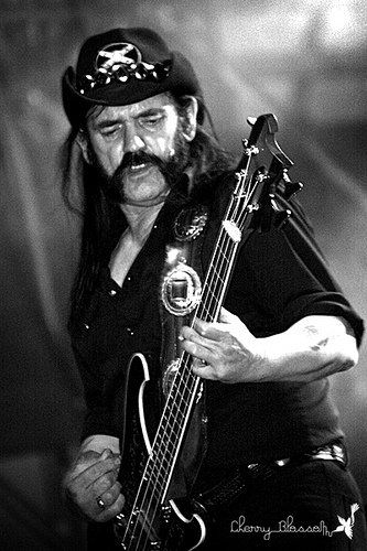 Really Music: Top 10 greatest bass players
