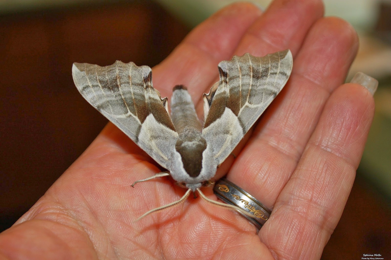The Southwest Through Wide Brown Eyes: The Alive State of Utah.