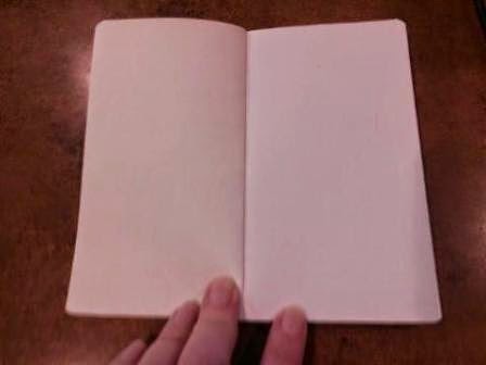 Plannerisms: Guest post: Federal Supply Memoranda notebook review