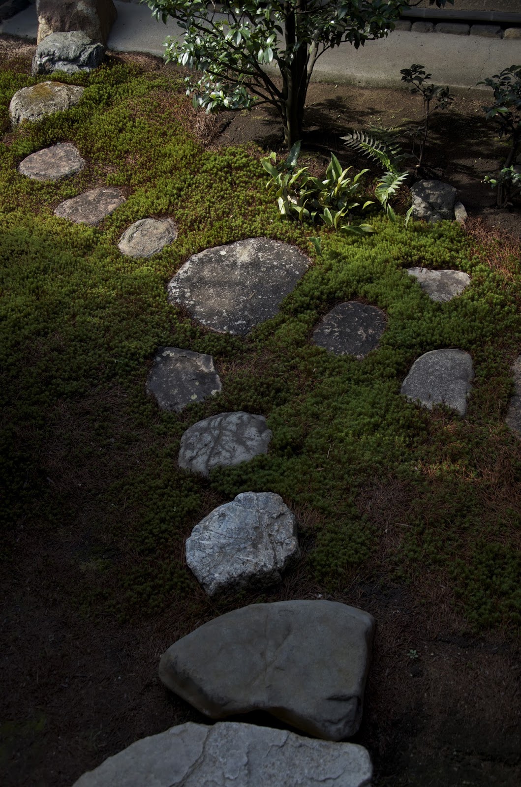 Robert Ketchell's blog: Paths and the Japanese Garden