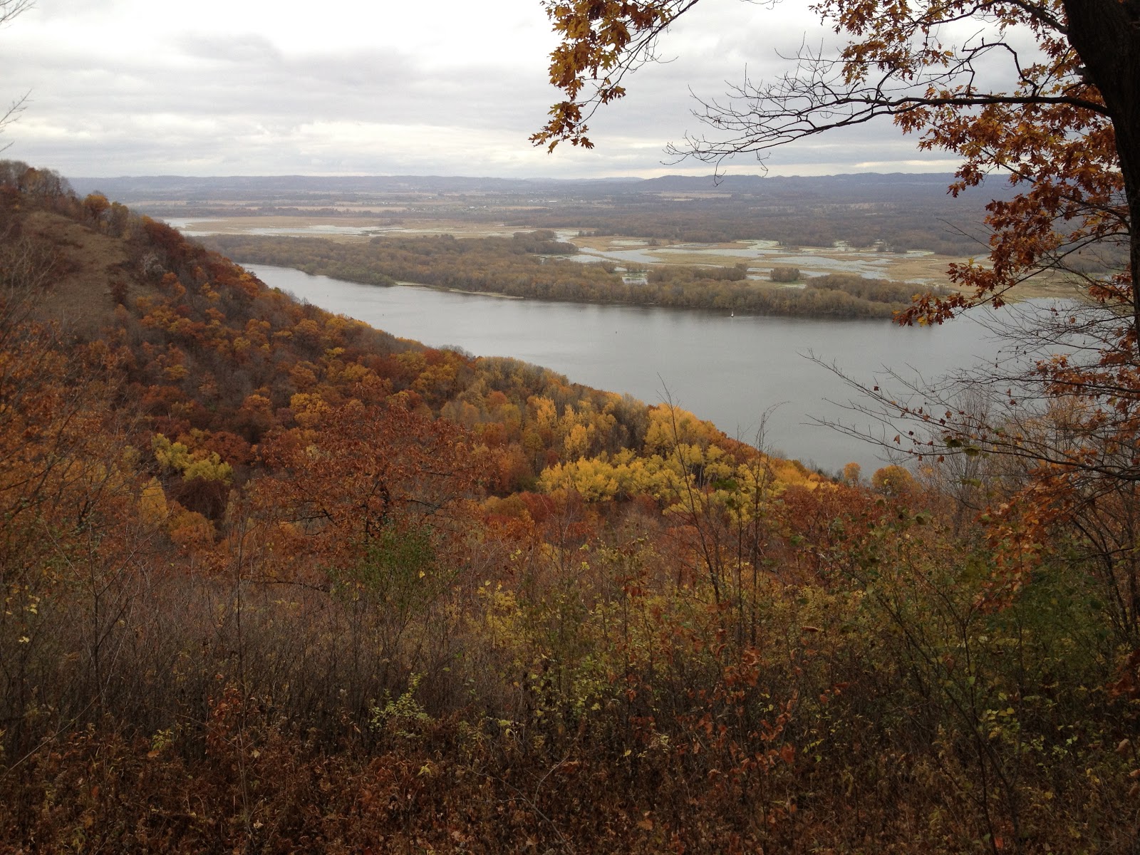 Travels with Rocky the Dog: Whitewater State Park and the Root River Valley